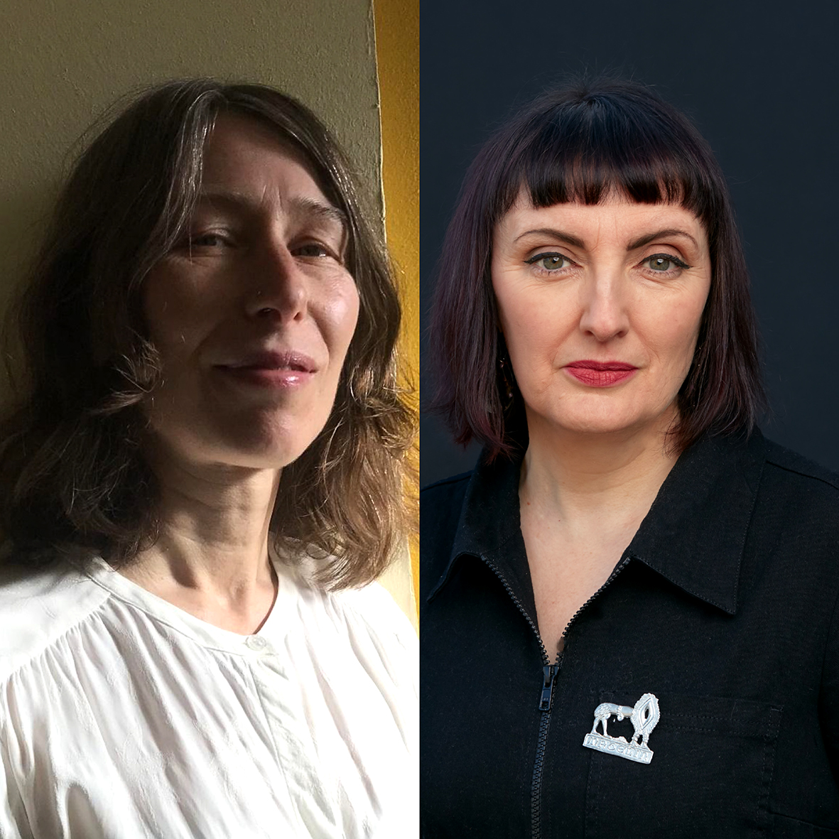 Literature Ireland | EVENT In So Many Words